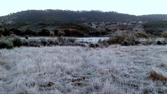 Heladas nocturnas y temperaturas suaves durante el día | Hoy